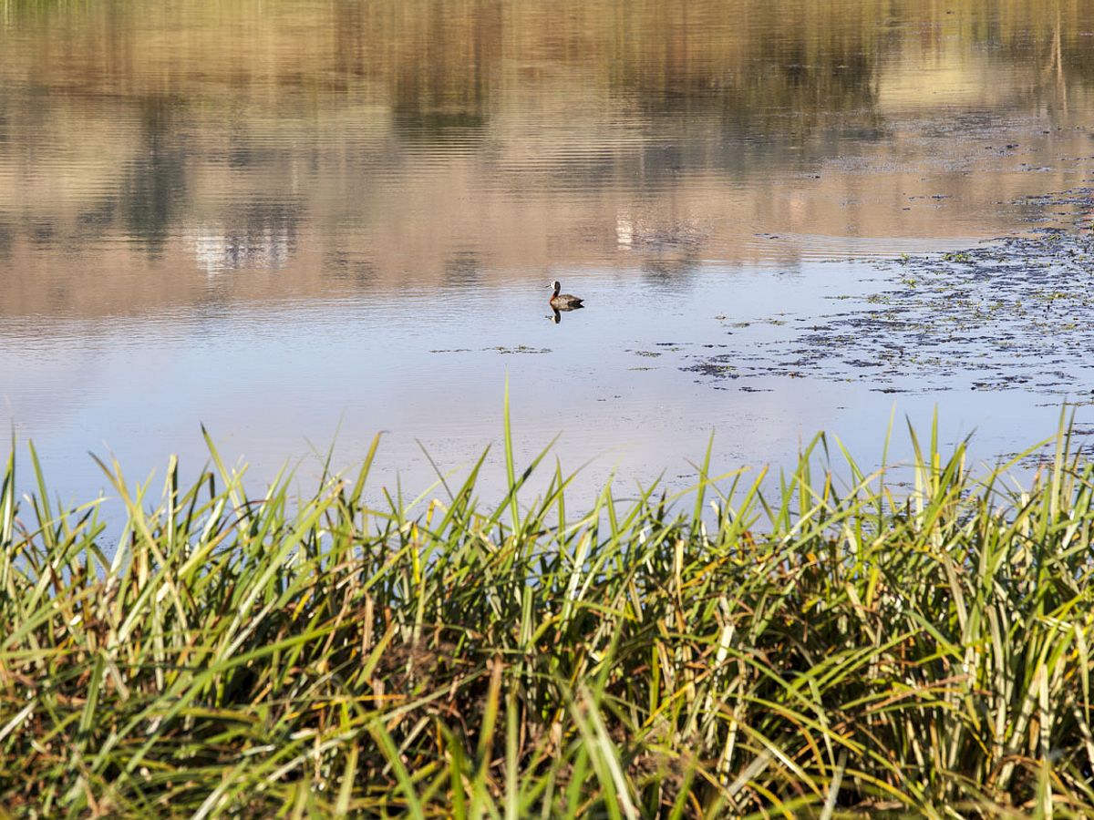 Property For Sale on Qwengo